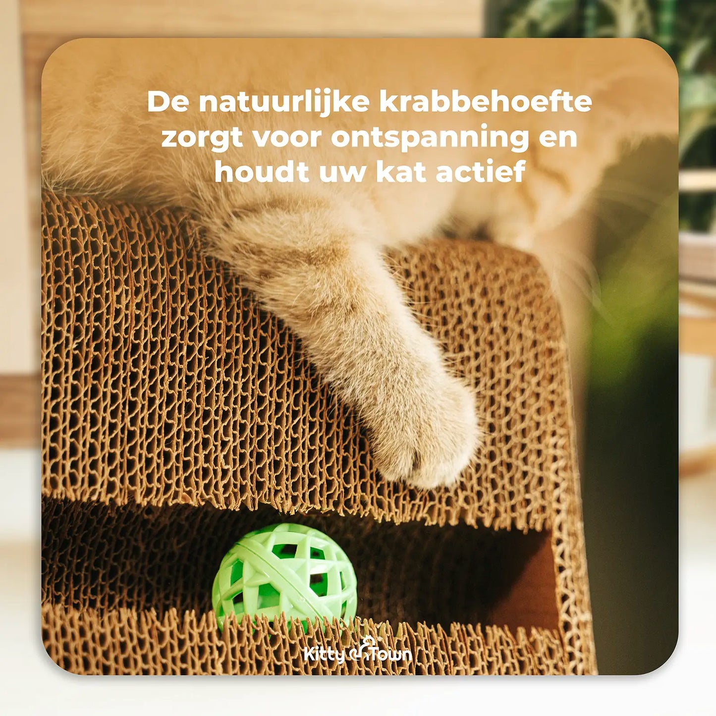 Luxury Scratch Sofa Kitty Town Ivy Large – Triangle Model Scratch Card – zycon